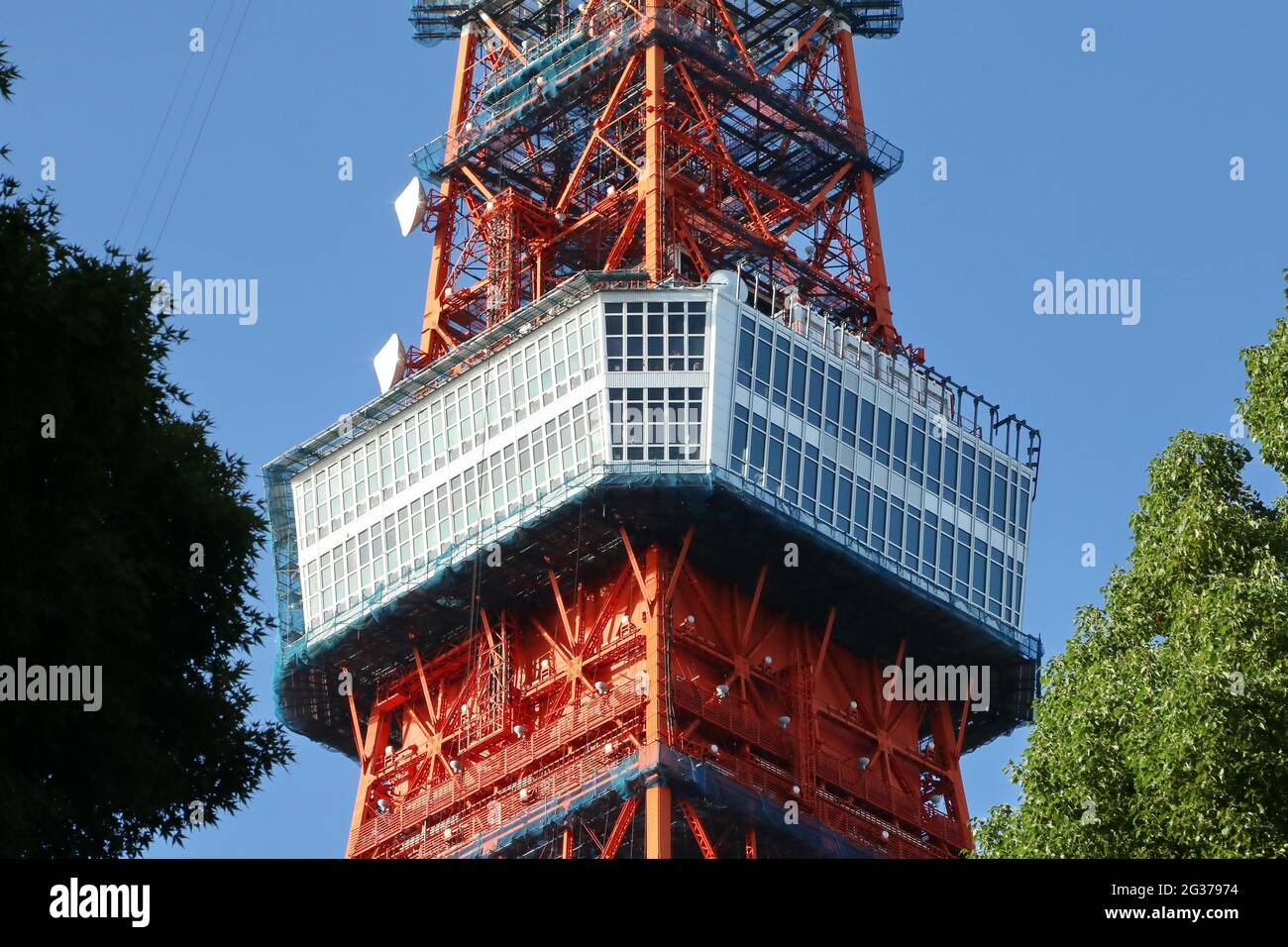 Tokyo vegetation hi-res stock photography and images - Alamy