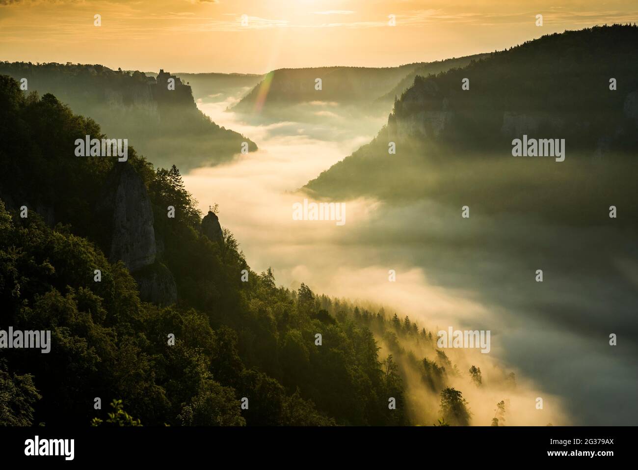 View from Eichfelsen to Werenwag Castle with morning fog, sunrise, near ... View from Eichfelsen to Werenwag Castle with morning fog, sunrise, near ...