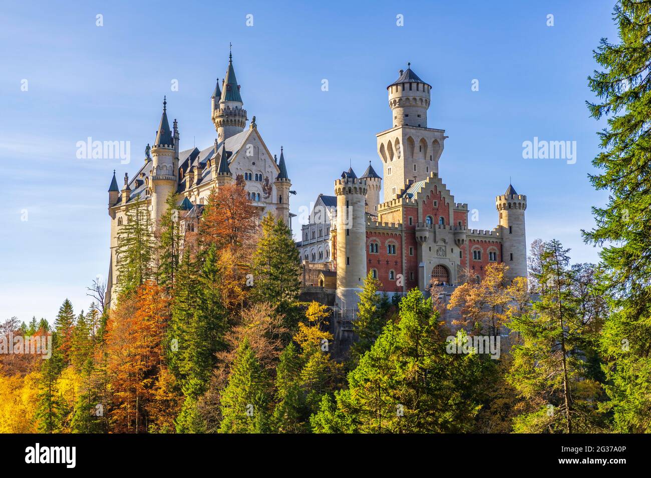 Neuschwanstein Castle in autumn, near Schwangau, Ostallgaeu, Allgaeu ...