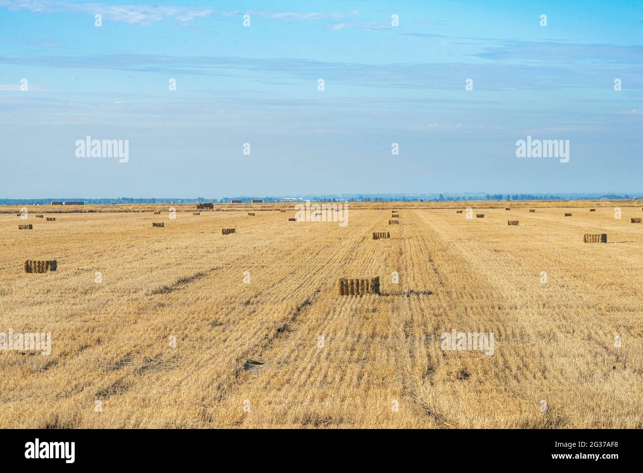 Square straw bale hi-res stock photography and images - Alamy
