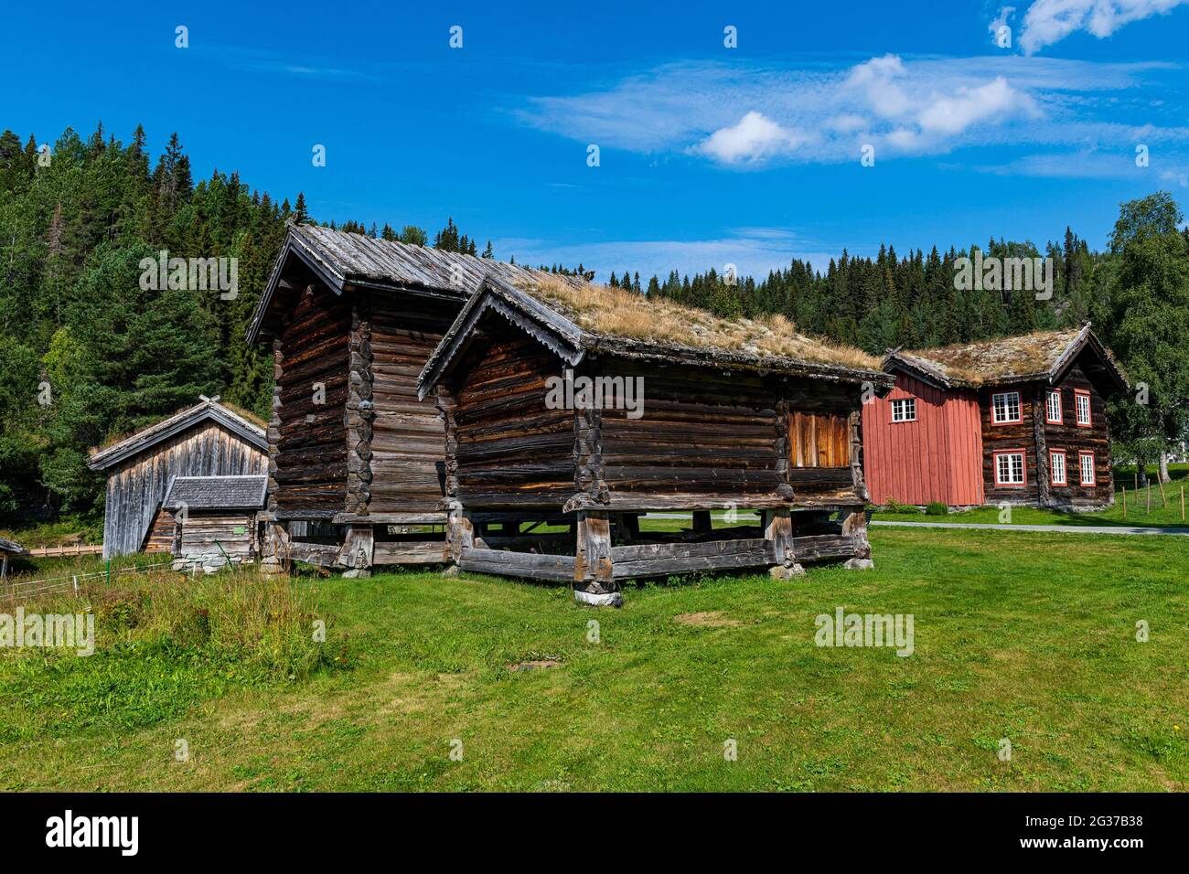 Traditional farm houses, Vest-Telemark Museum Eidsborg, Norway Stock ...