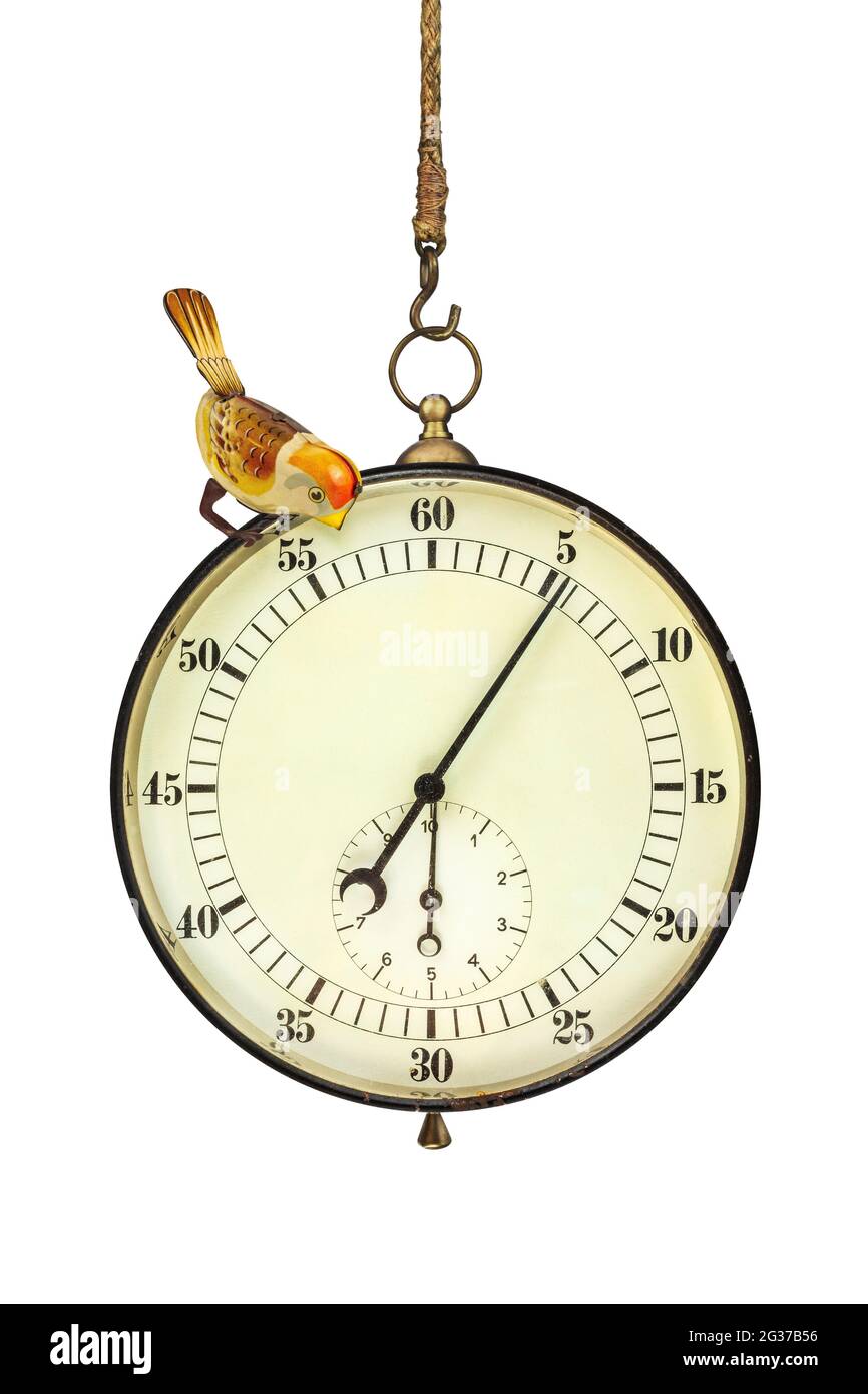 Vintage large stopwatch with little toy bird hanging in front of a ...