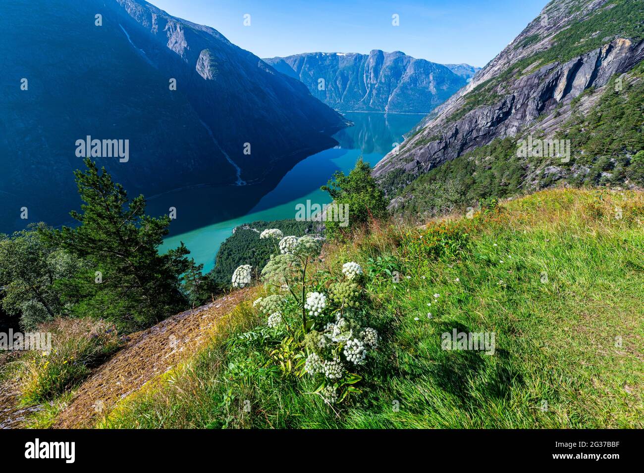 Farm overview hi-res stock photography and images - Alamy