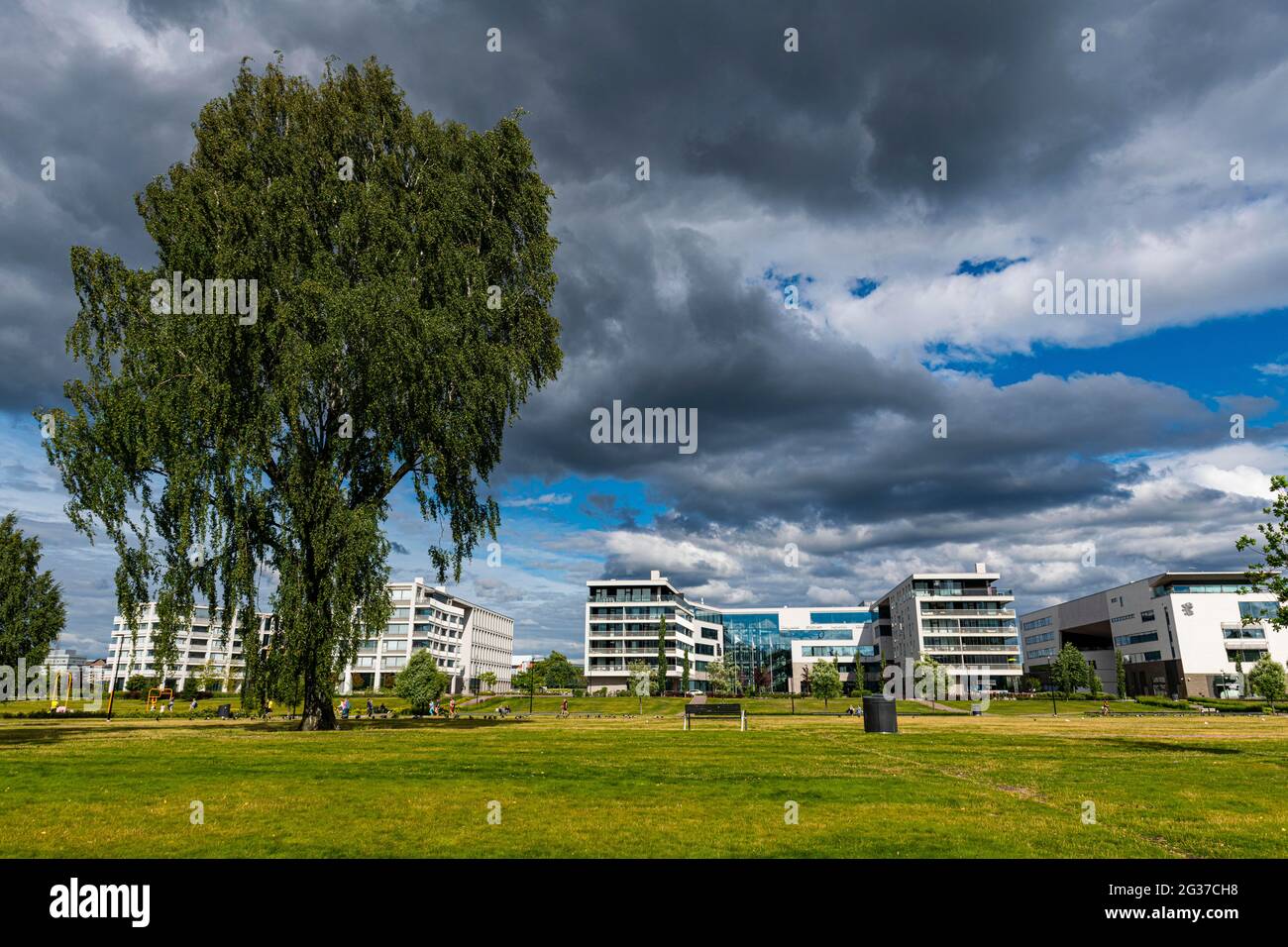 Modern office building in downtown Helsinki, Finland Stock Photo - Alamy