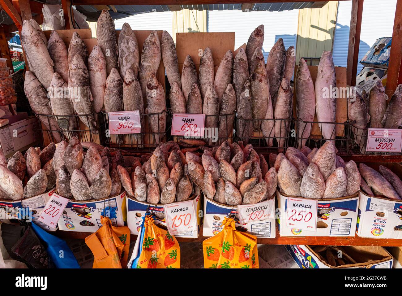 Yakutsk russia fish hi-res stock photography and images - Alamy