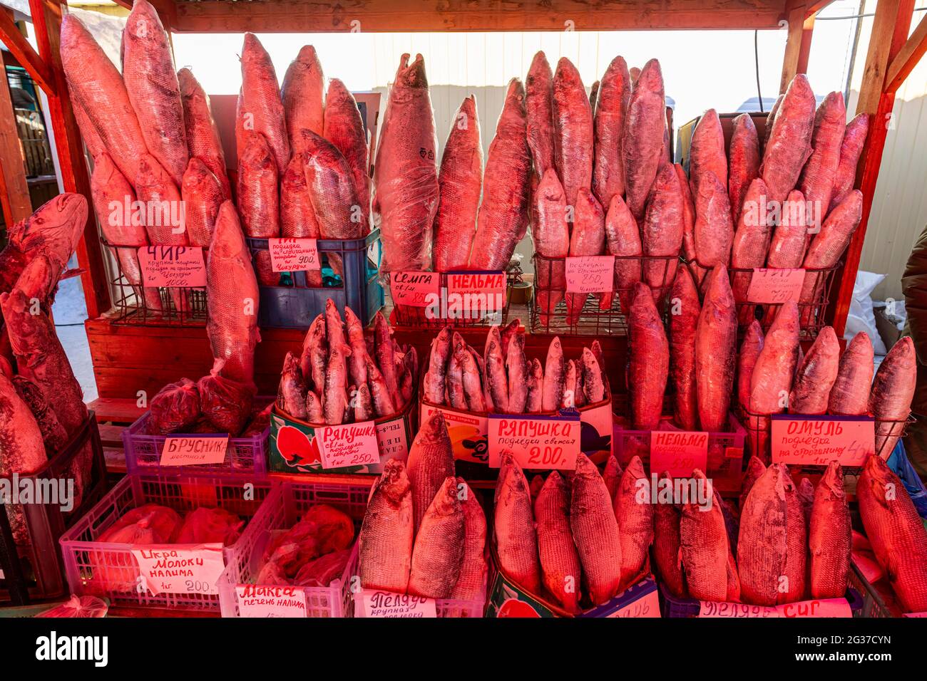 Yakutsk fish hi-res stock photography and images - Alamy