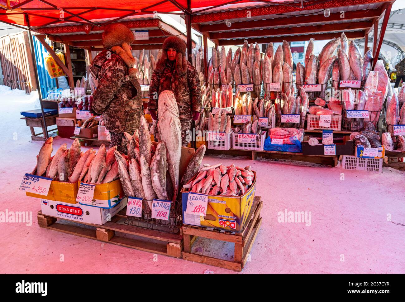 Deep frozen fish at the Fish and meat market, Yakutsk, Sakha Republic ...