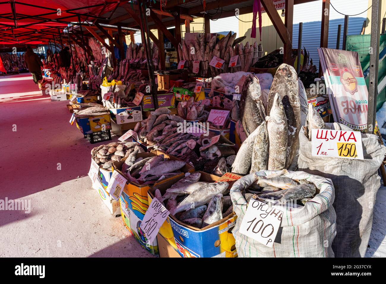 Yakutsk russia fish hi-res stock photography and images - Alamy