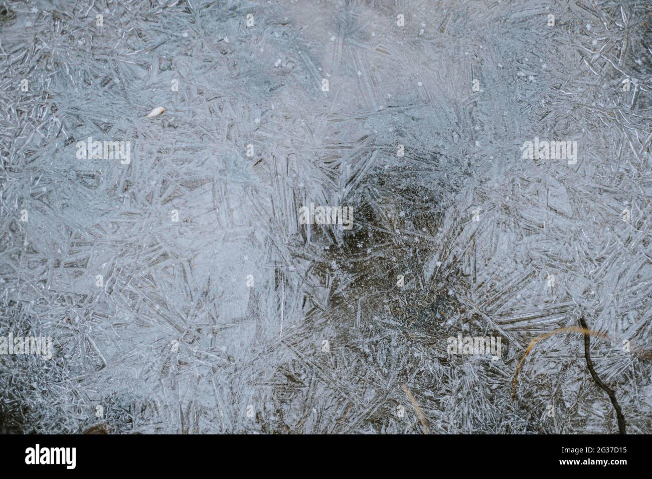 Ice cold environment hi-res stock photography and images - Alamy