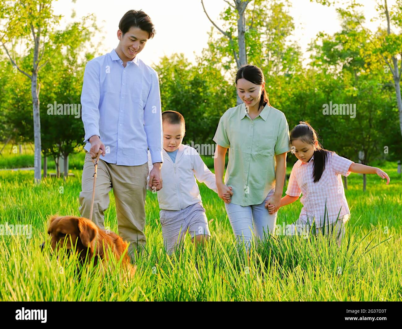 Happy family of four walking dogs in the park high quality photo Stock ...