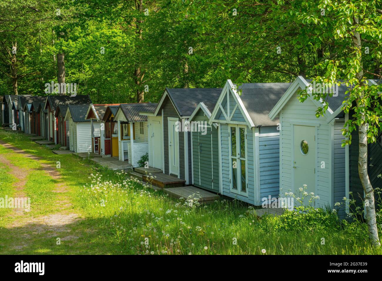 Bathing huts in Ystad sand forest close to the beach at Baltic Sea ...