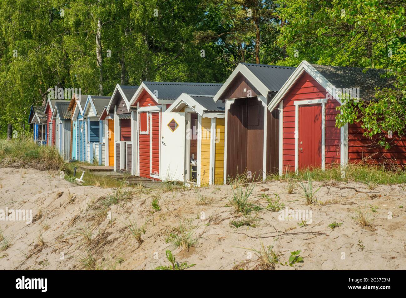 Bathing huts in Ystad sand forest close to the beach at Baltic Sea ...