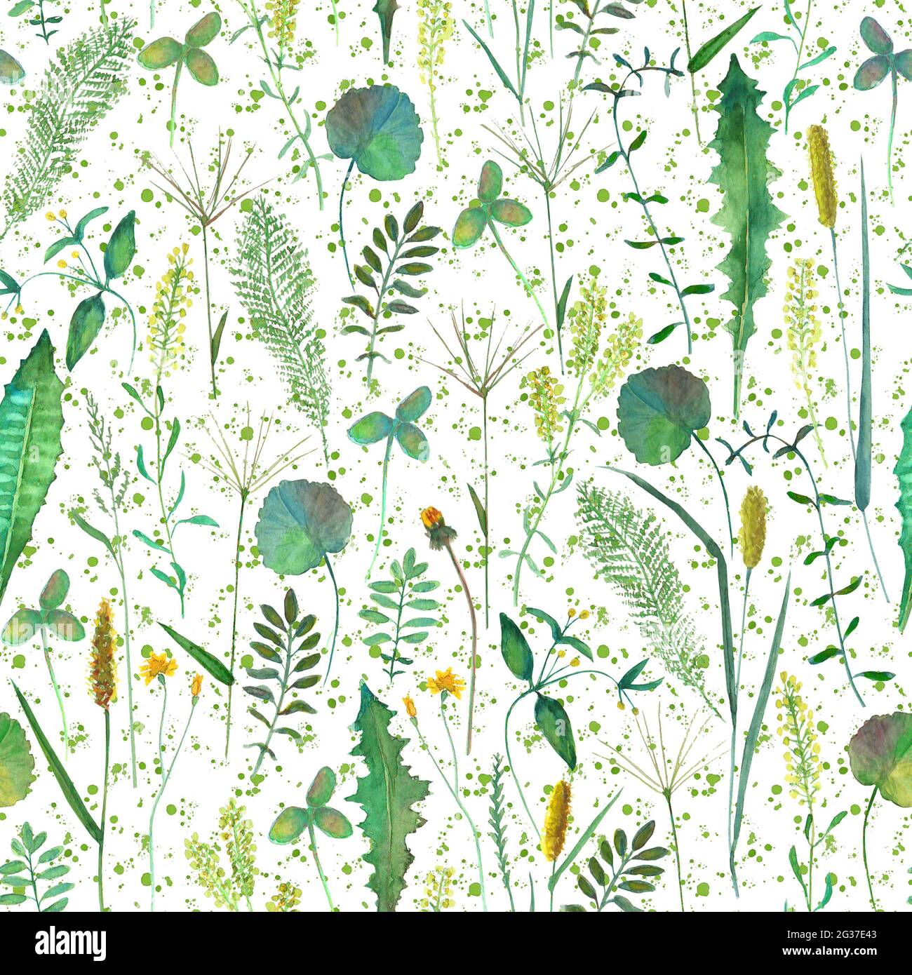 Seamless pattern with meadow wild flowers, herbs, grasses. Watercolor ...