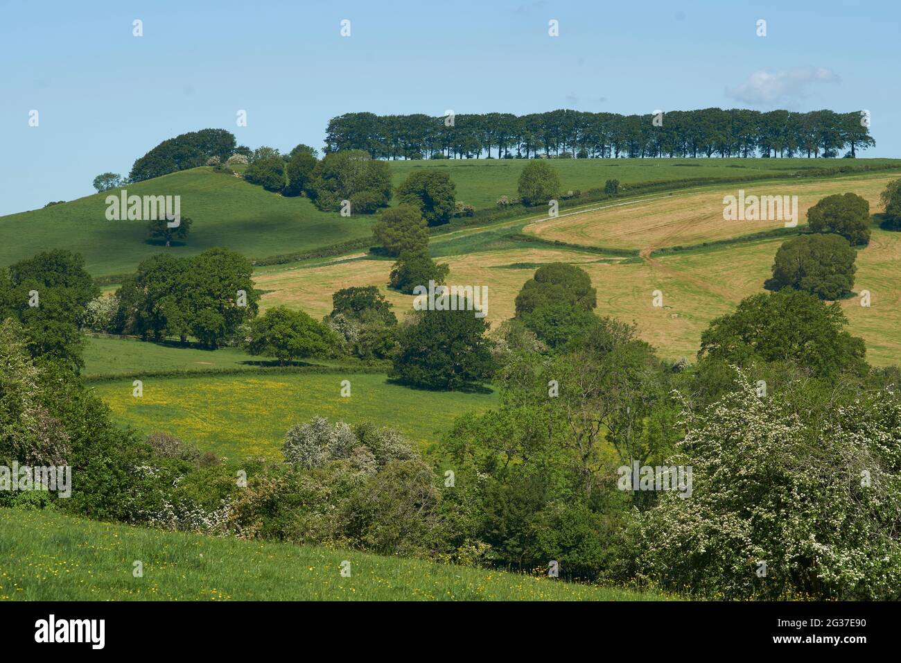 Summer in the Woolley Valley, an Area of Outstanding Natural Beauty in ...