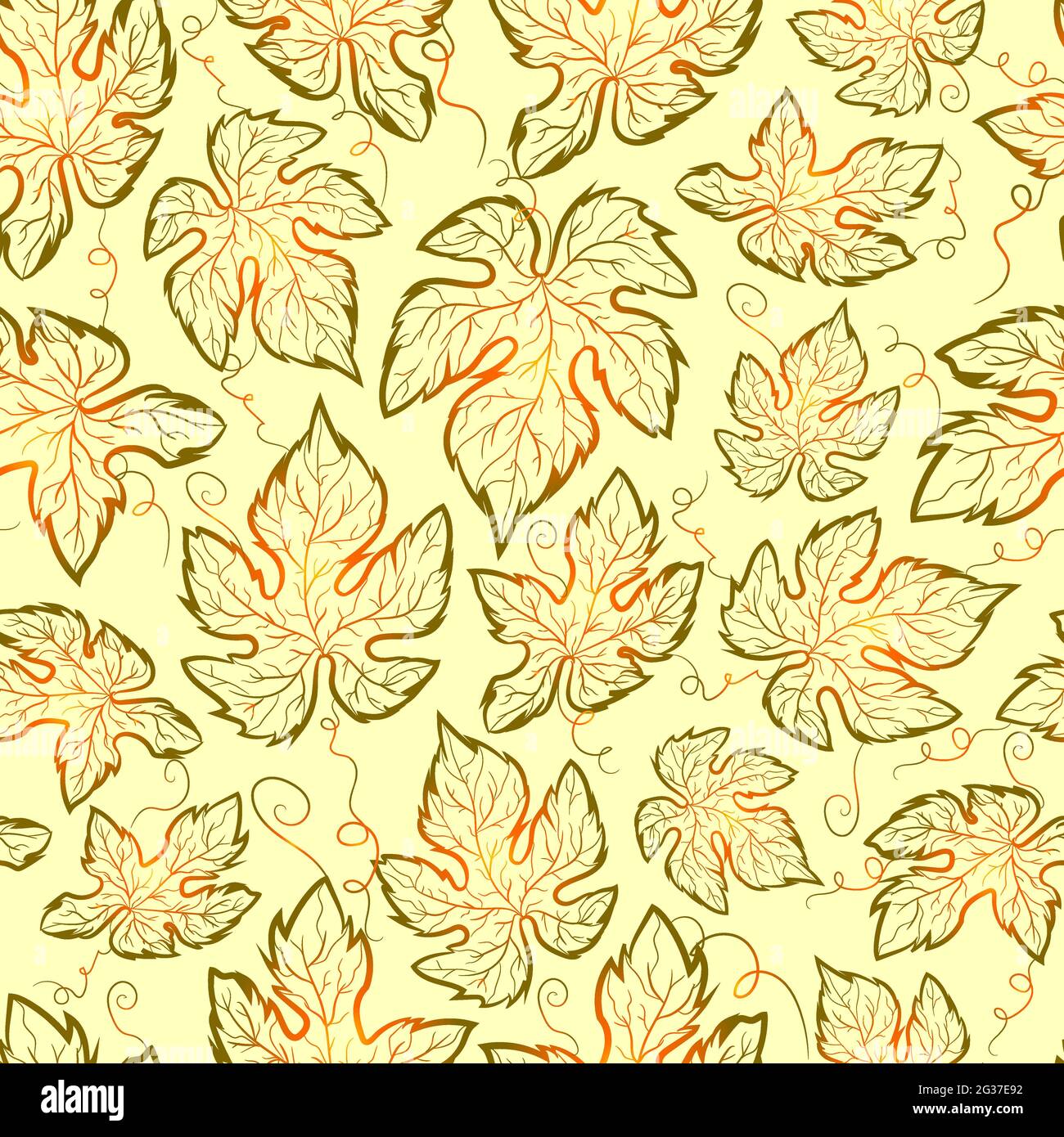 Vine leaves no background Stock Vector Images - Alamy