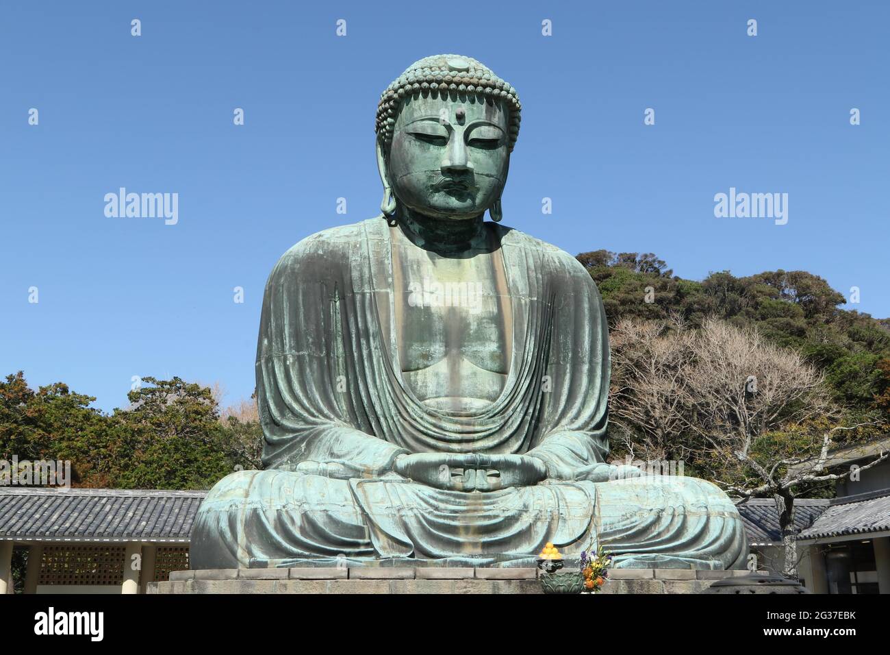 Daibutsu, Great Buddha statue at Kotoku-in temple, Kamakura, Kanagawa ...