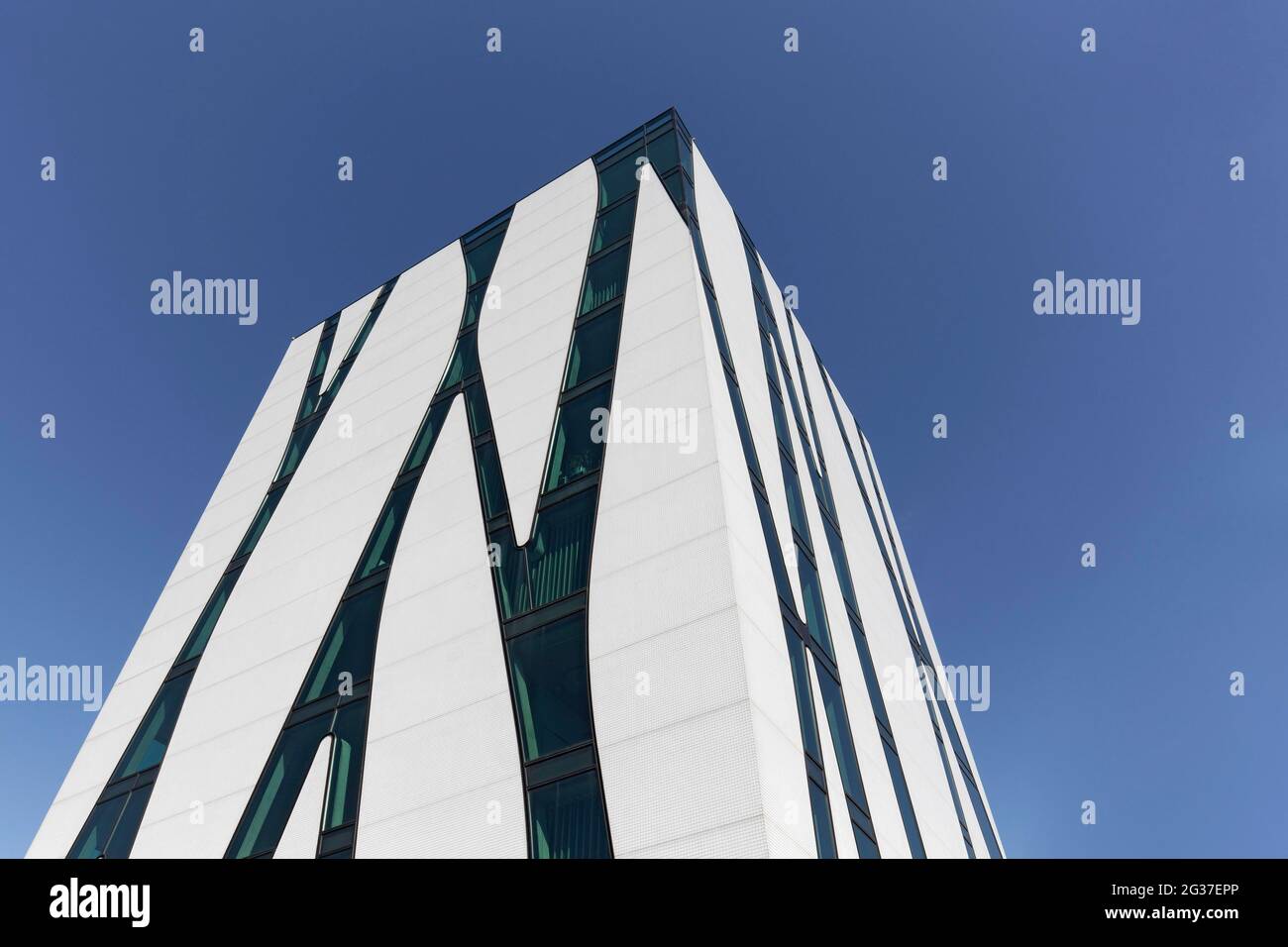 O.A.S.E., Medical Library, Learning and Communication Centre of the ...