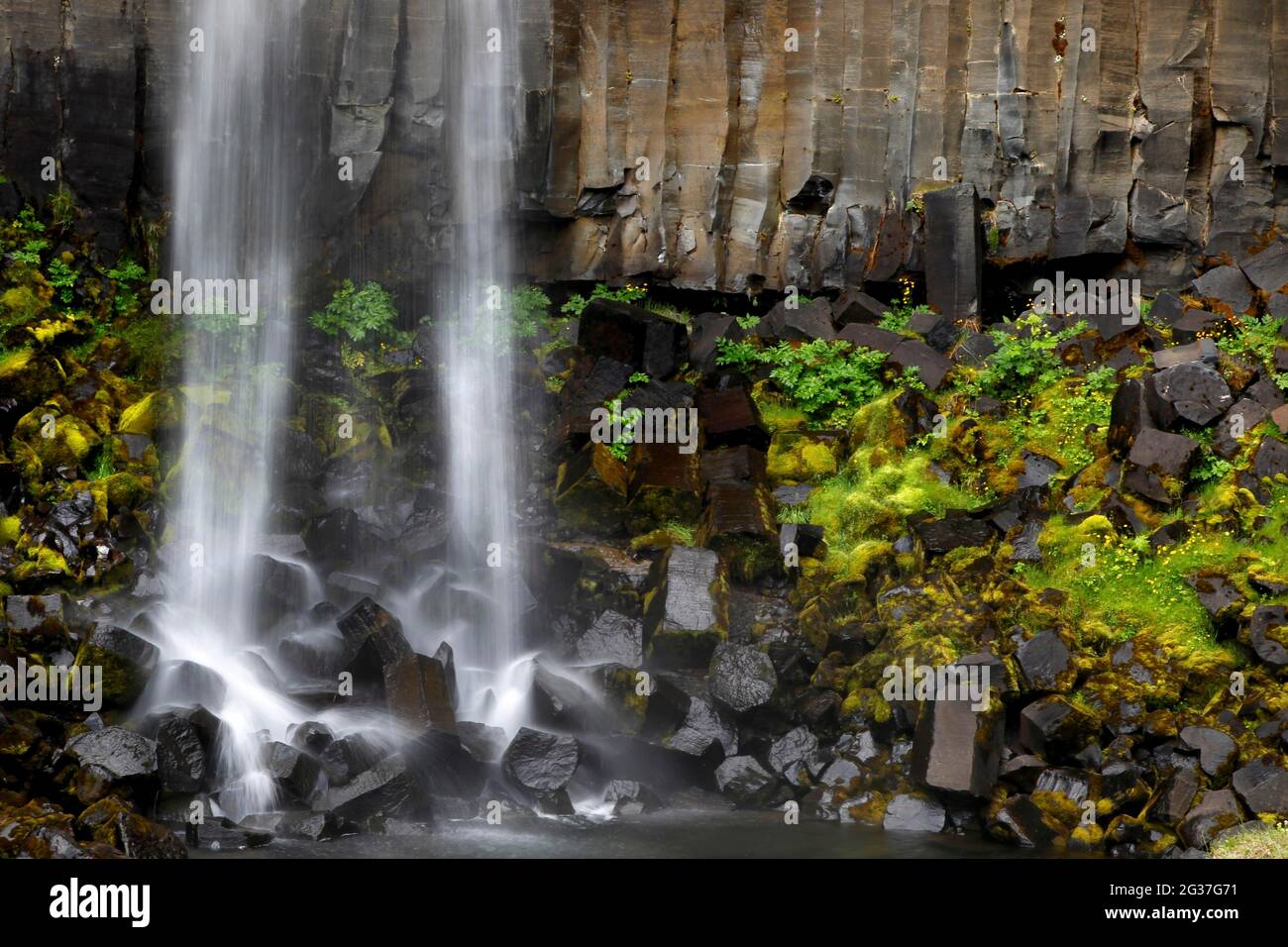 Columnar basalt with waterfall, Svartifoss, Skaftafell, high plateau ...