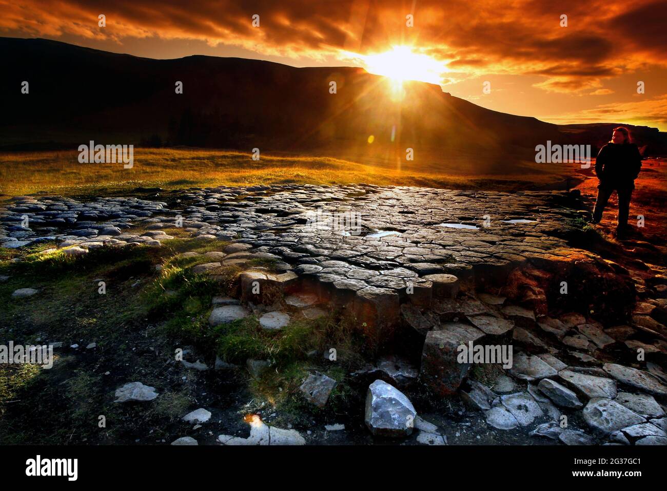 Column basalt, Kirkjugolf, church floor, basalt columns standing ...