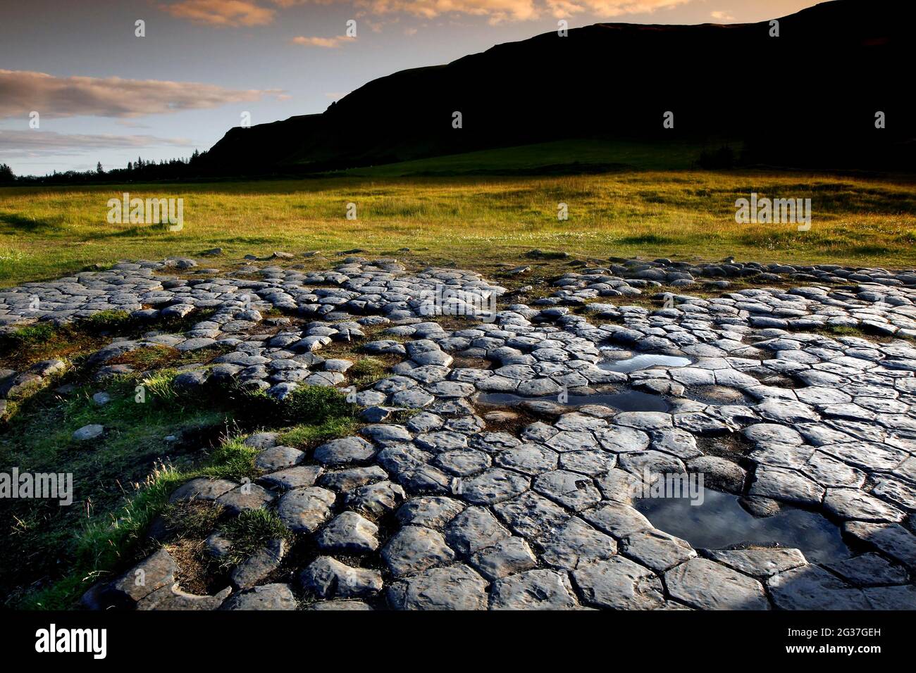 Column baslat, Kirkjugolf, church floor, basalt columns standing ...
