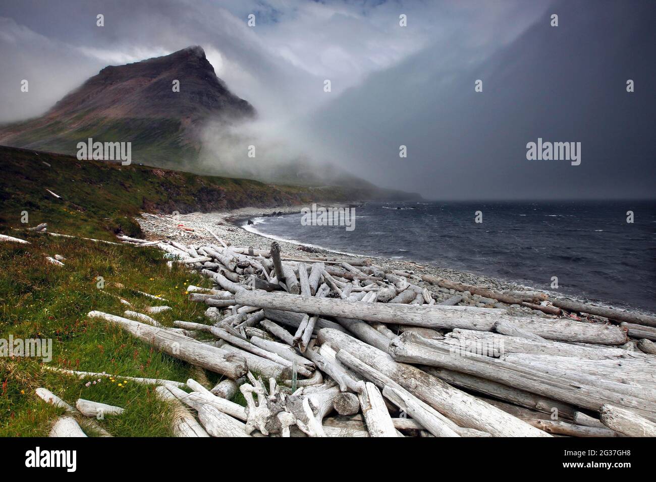 Driftwood, beach, mountain in fog, fjord, peninsula Strandir ...