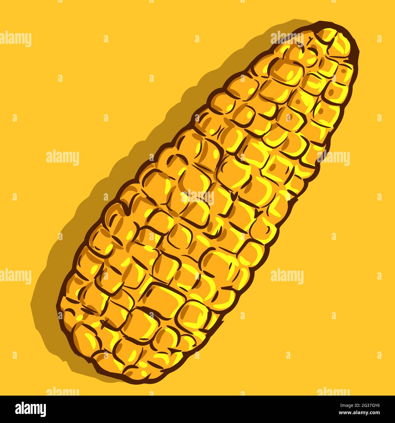 Vector art of a yellow ripe corn cob. Drawing of an isolated summer and ...