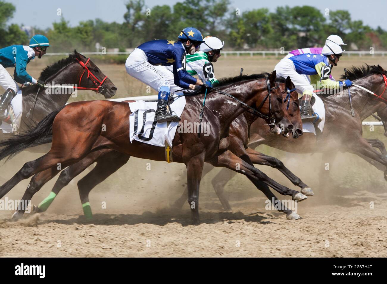 Russian horse breed hi-res stock photography and images - Alamy