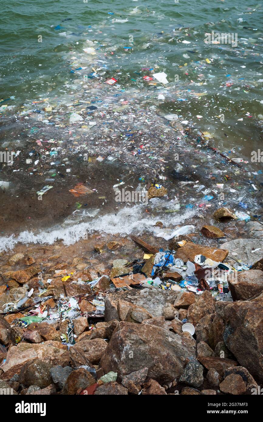 Garbage, mainly from stormwater outfall into Victoria Harbour, washed ...