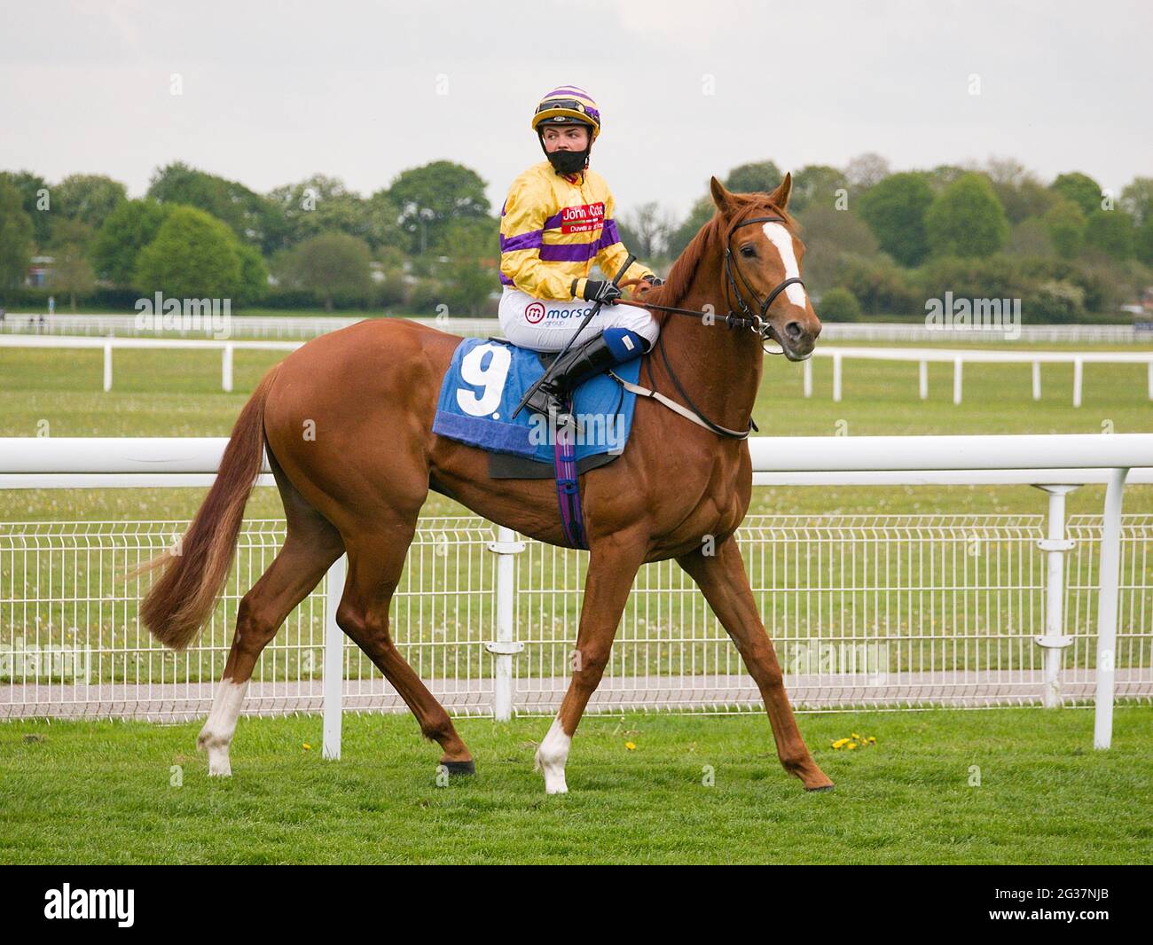 Jockey megan nicholls hi-res stock photography and images - Alamy