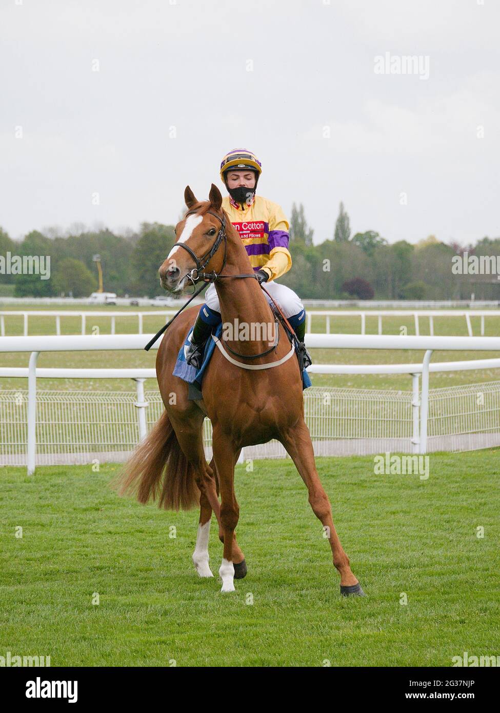 Jockey Megan Nicholls riding Intello Boy waiting for the start of the Irish Thoroughbred ...