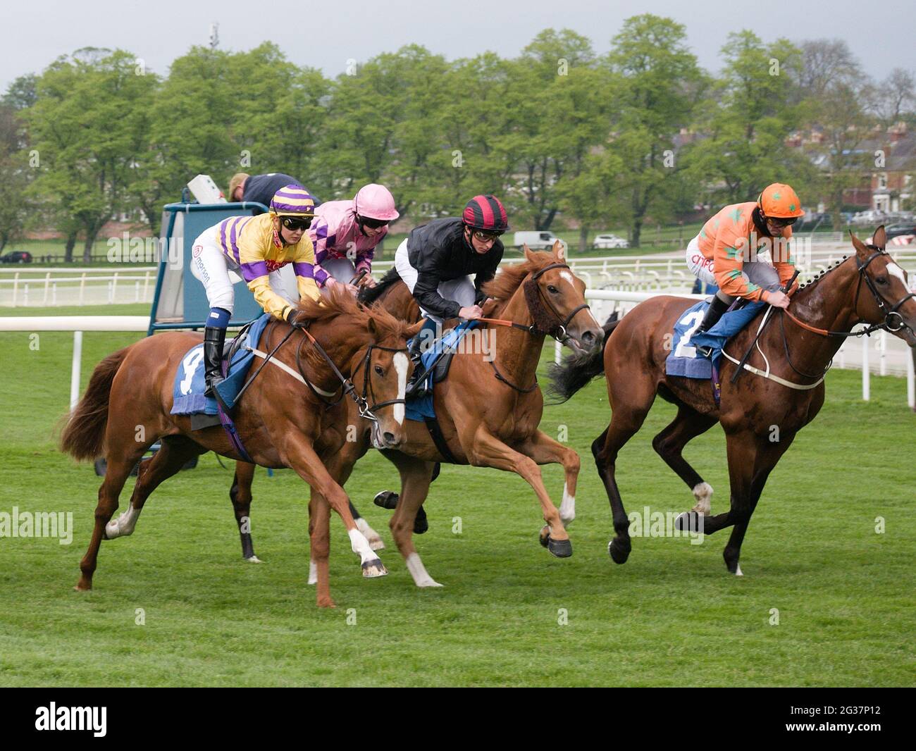 Megan nicholls hi-res stock photography and images - Alamy