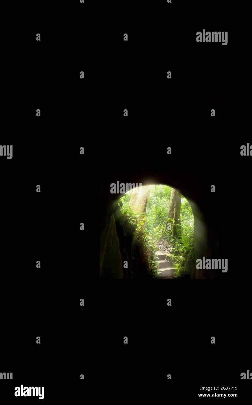 Hidden forest cave hi-res stock photography and images - Alamy