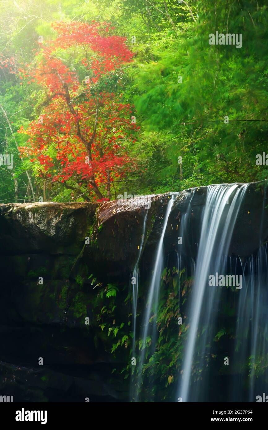 Autumn waterfall and red maple tree blurred in the background. Long ...