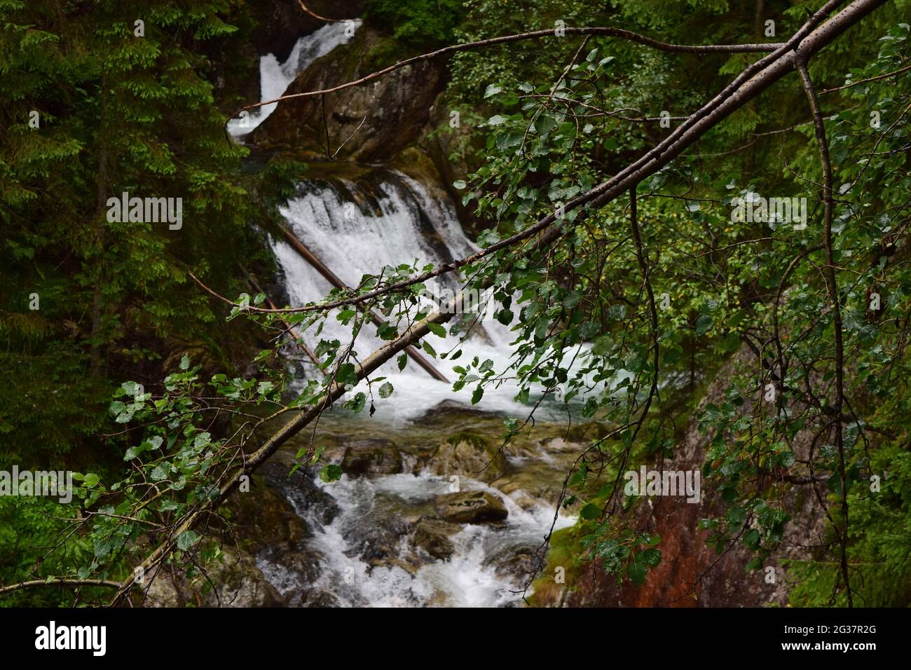 Freshwater spring flowing through rough rocks Stock Photo - Alamy