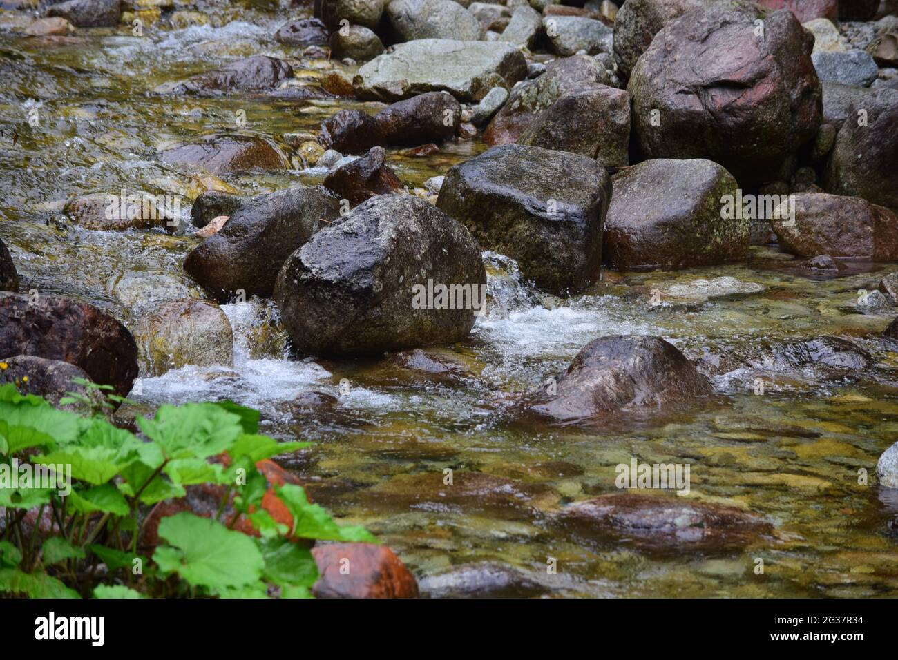Freshwater spring flowing through rough rocks Stock Photo - Alamy