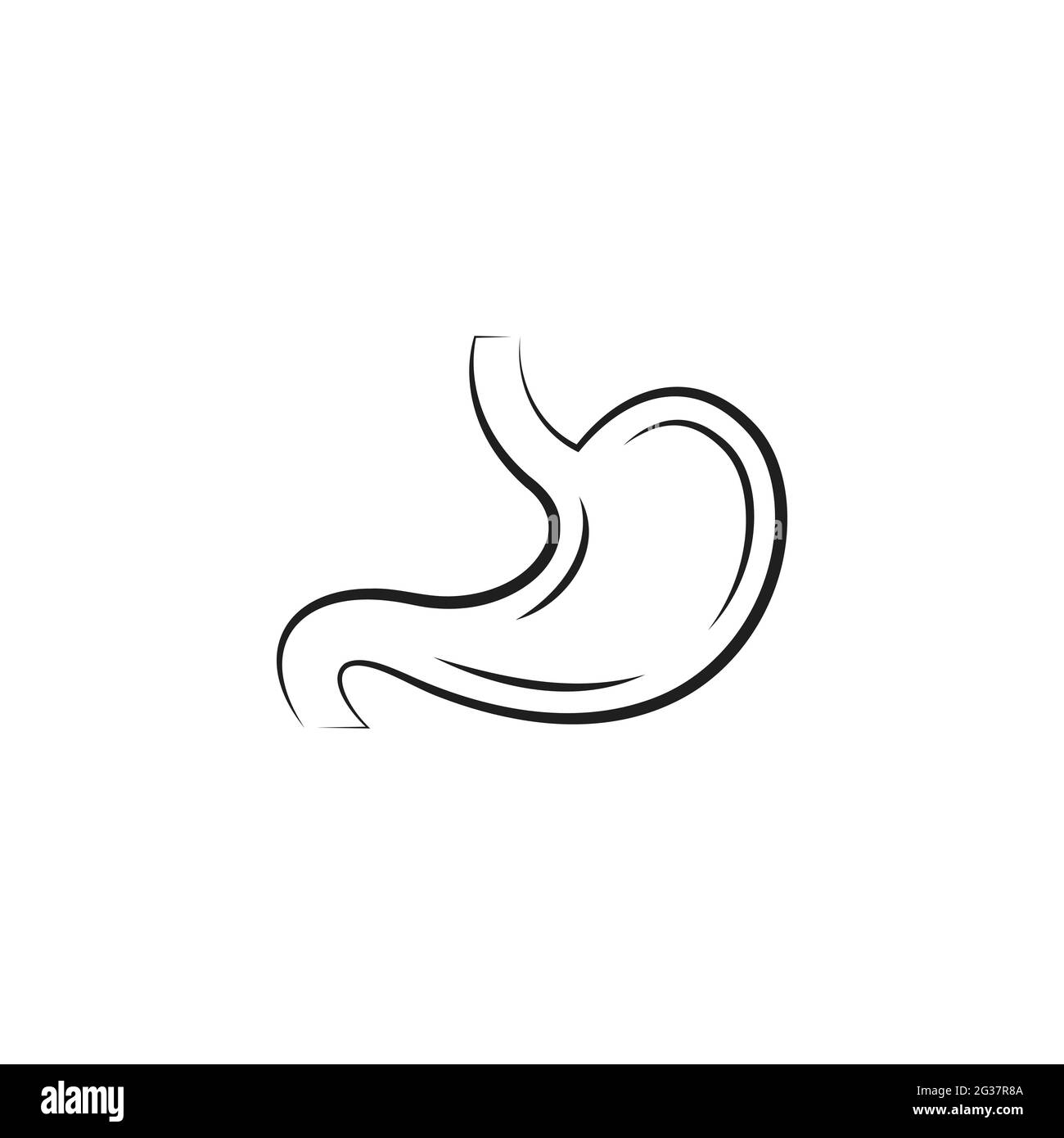 Stomach vector vectors Black and White Stock Photos & Images - Alamy