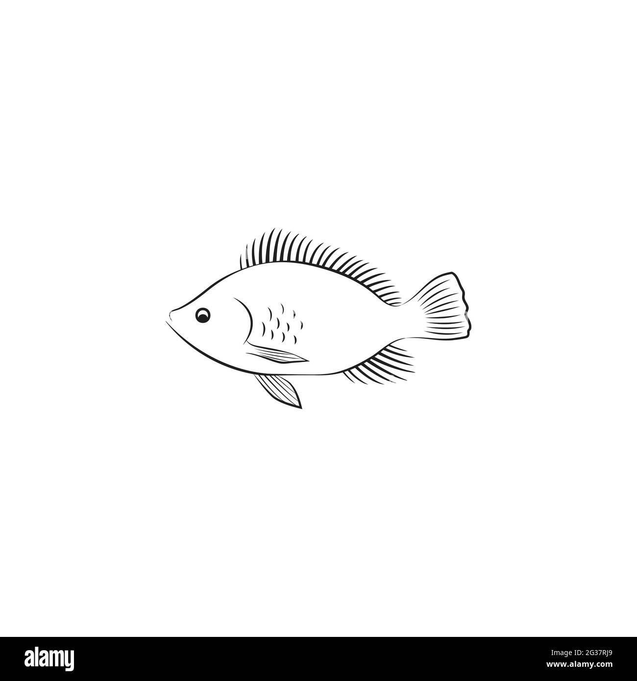 Fish fauna Black and White Stock Photos & Images - Alamy