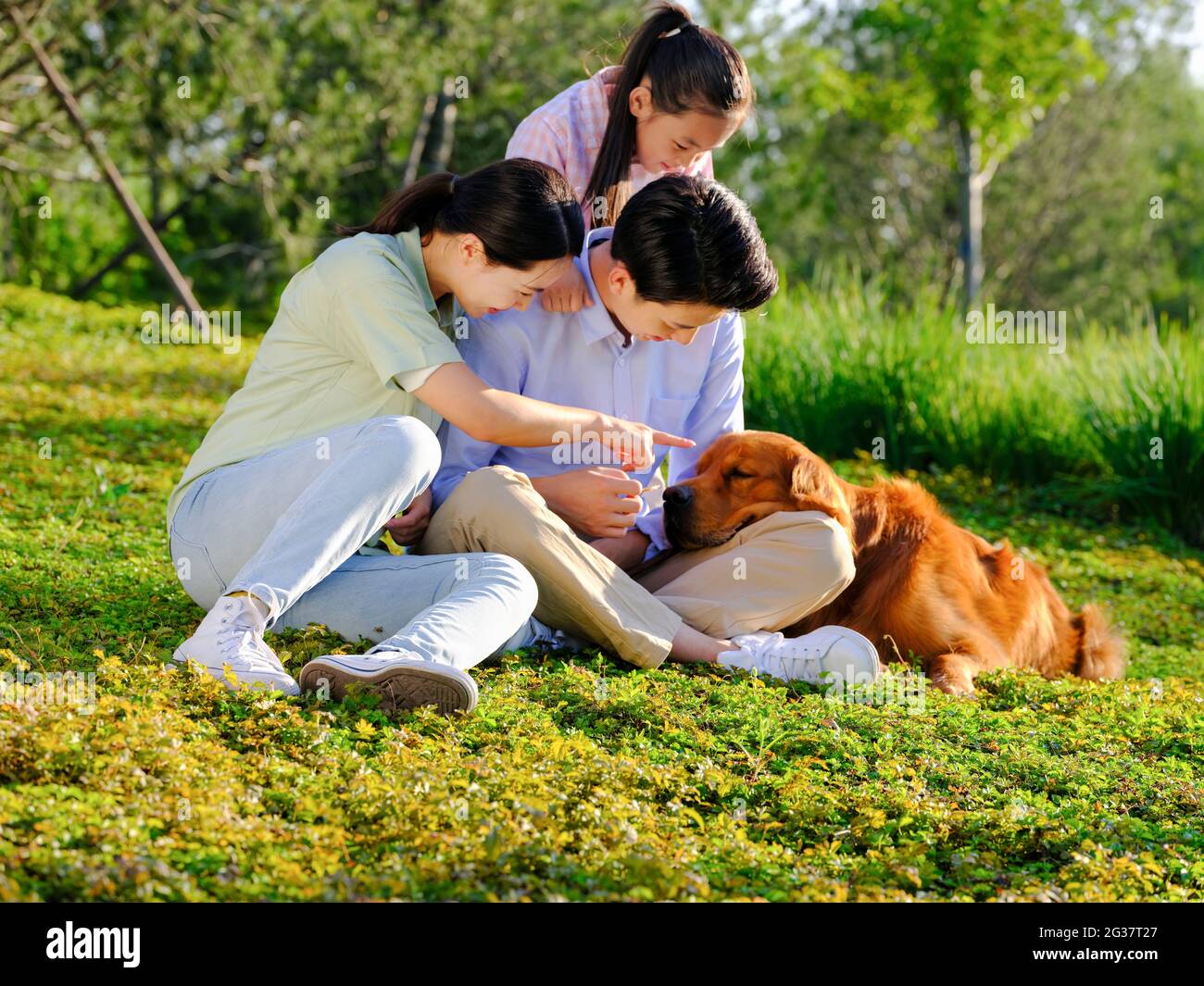Happy family of three and pet dog playing in the park high quality ...