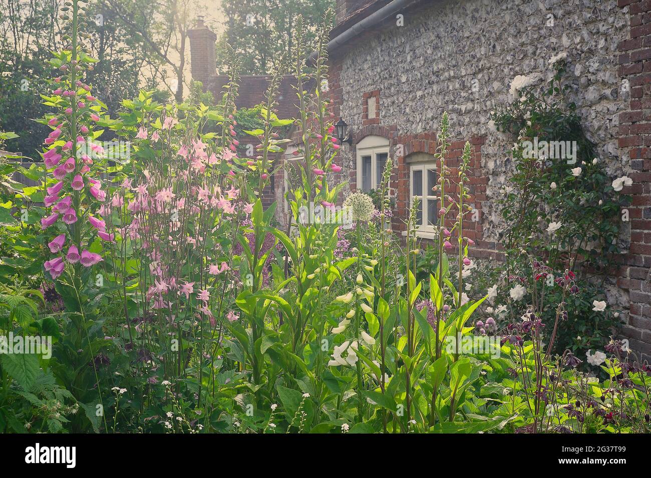 Natural English cottage garden with wild flowers in Sussex Stock Photo ...