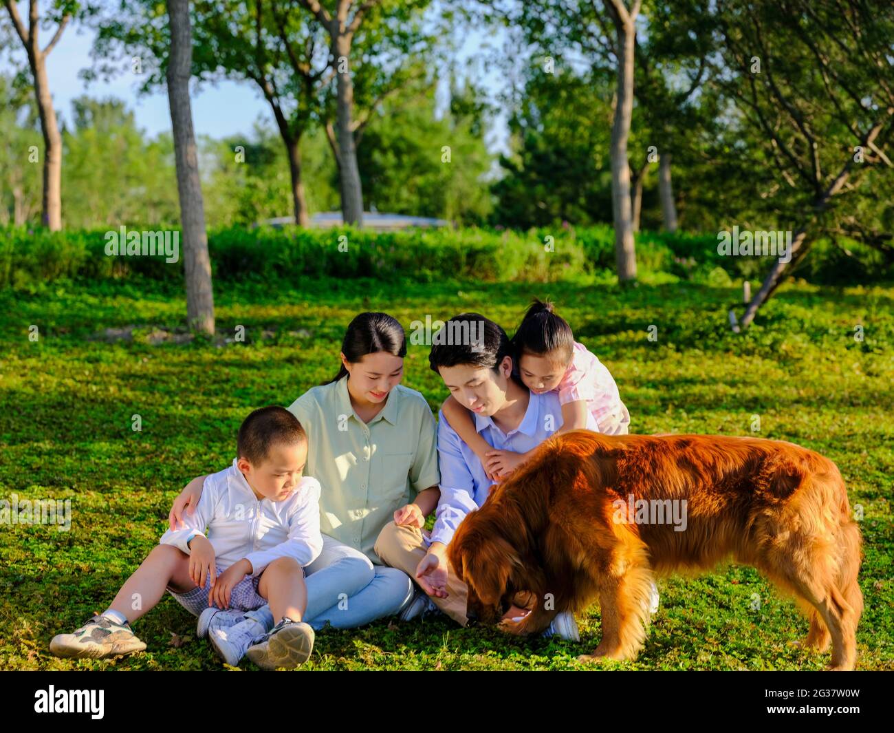 Happy family of four and pet dog playing in the park high quality photo ...