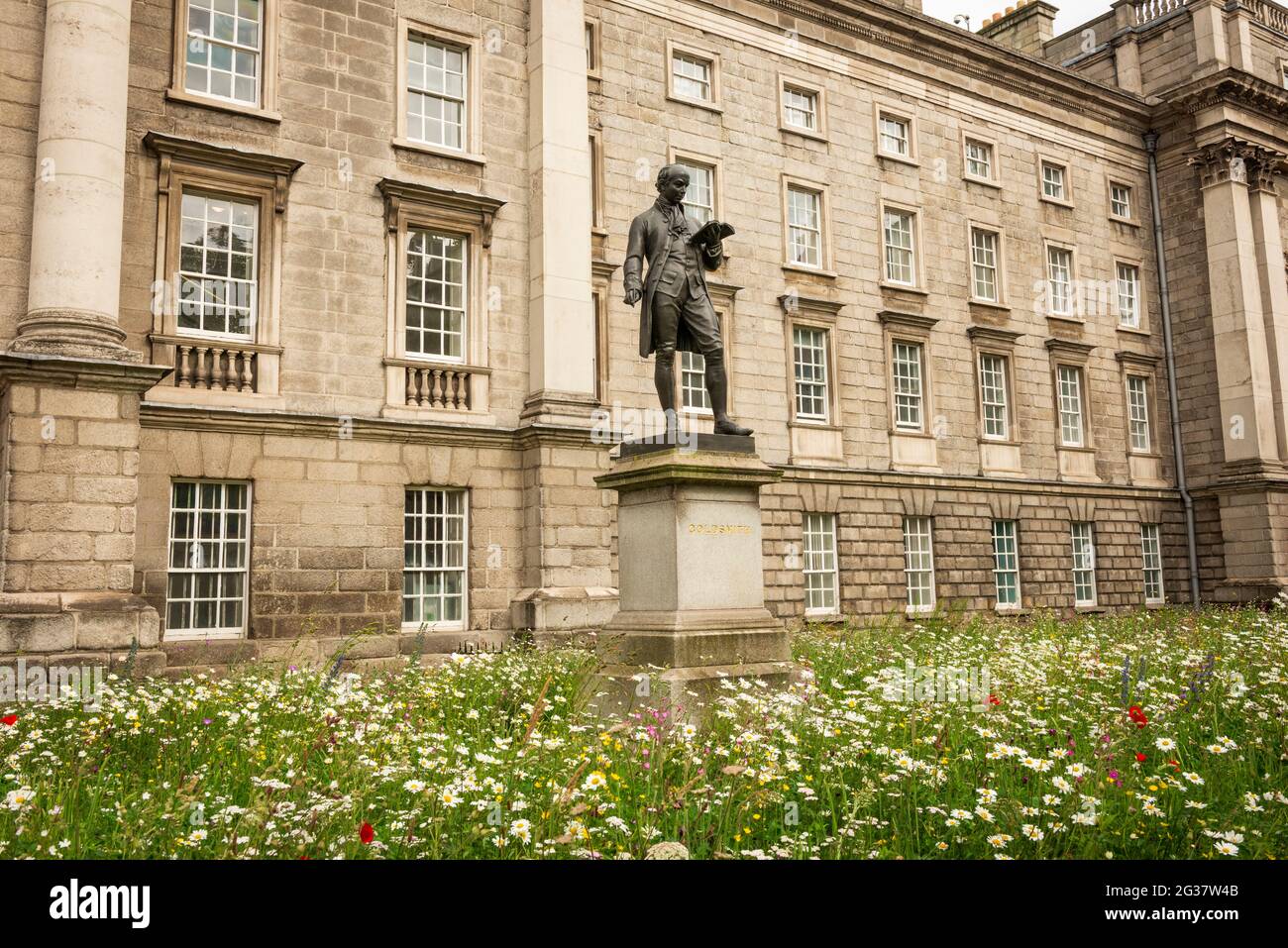 The Oliver Goldsmith statue and wildflower meadow at the College Green ...