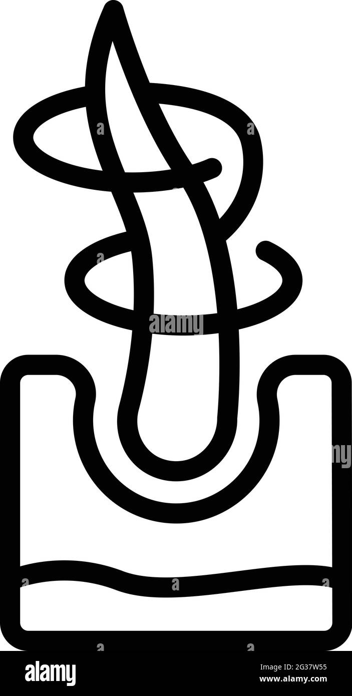 Curly hair icon. Outline Curly hair vector icon for web design isolated ...