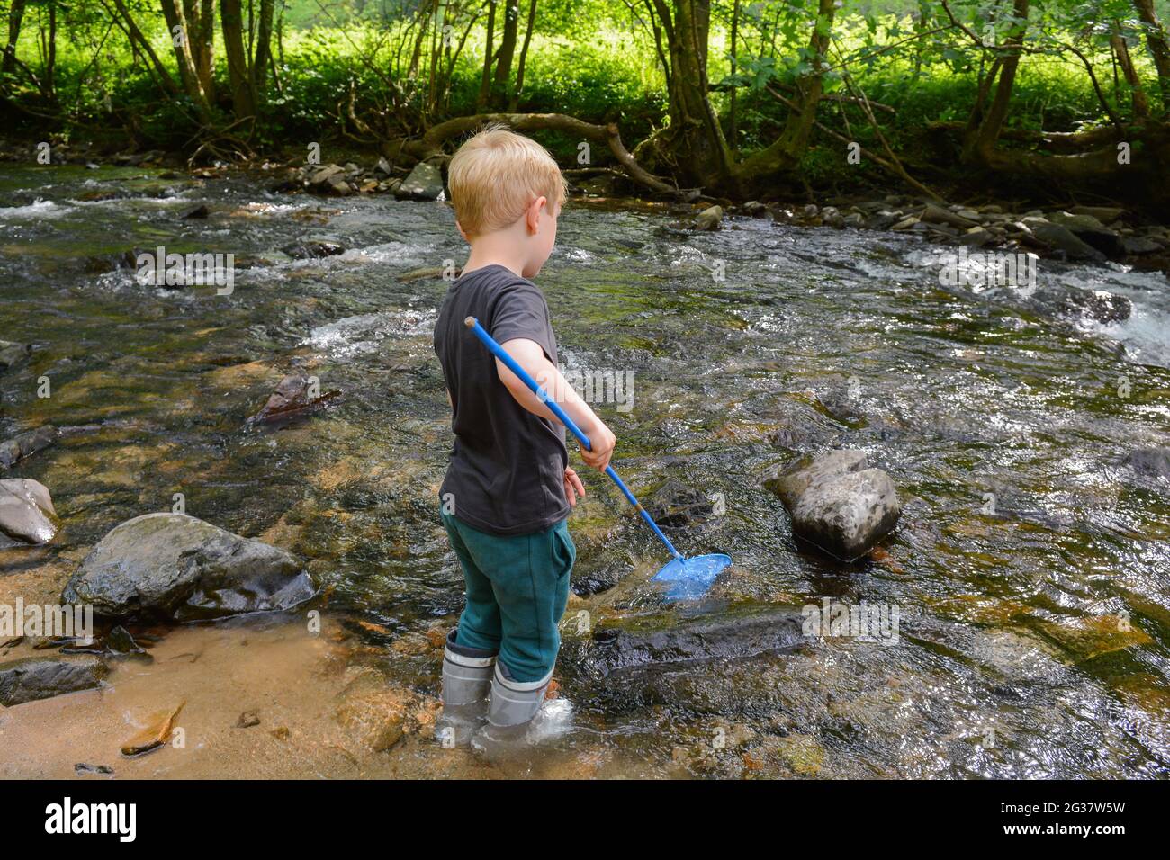 Boy playing fishing net hi-res stock photography and images - Alamy