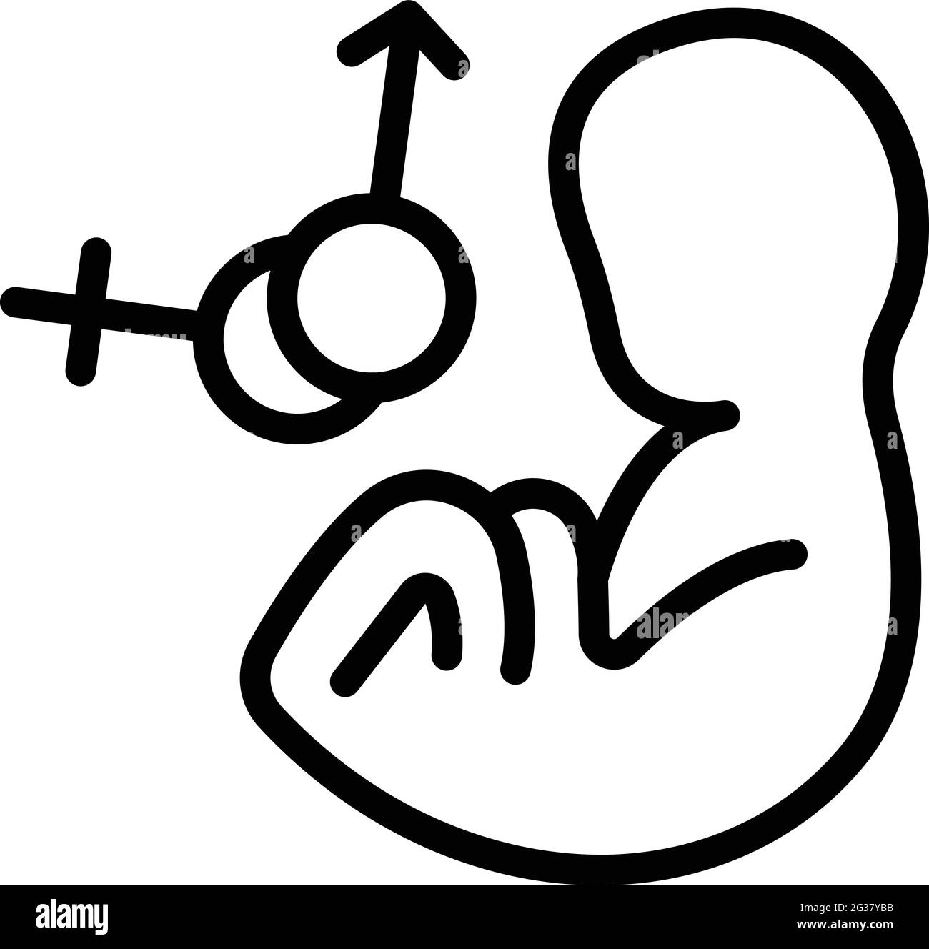 Baby embrion icon. Outline Baby embrion vector icon for web design ...