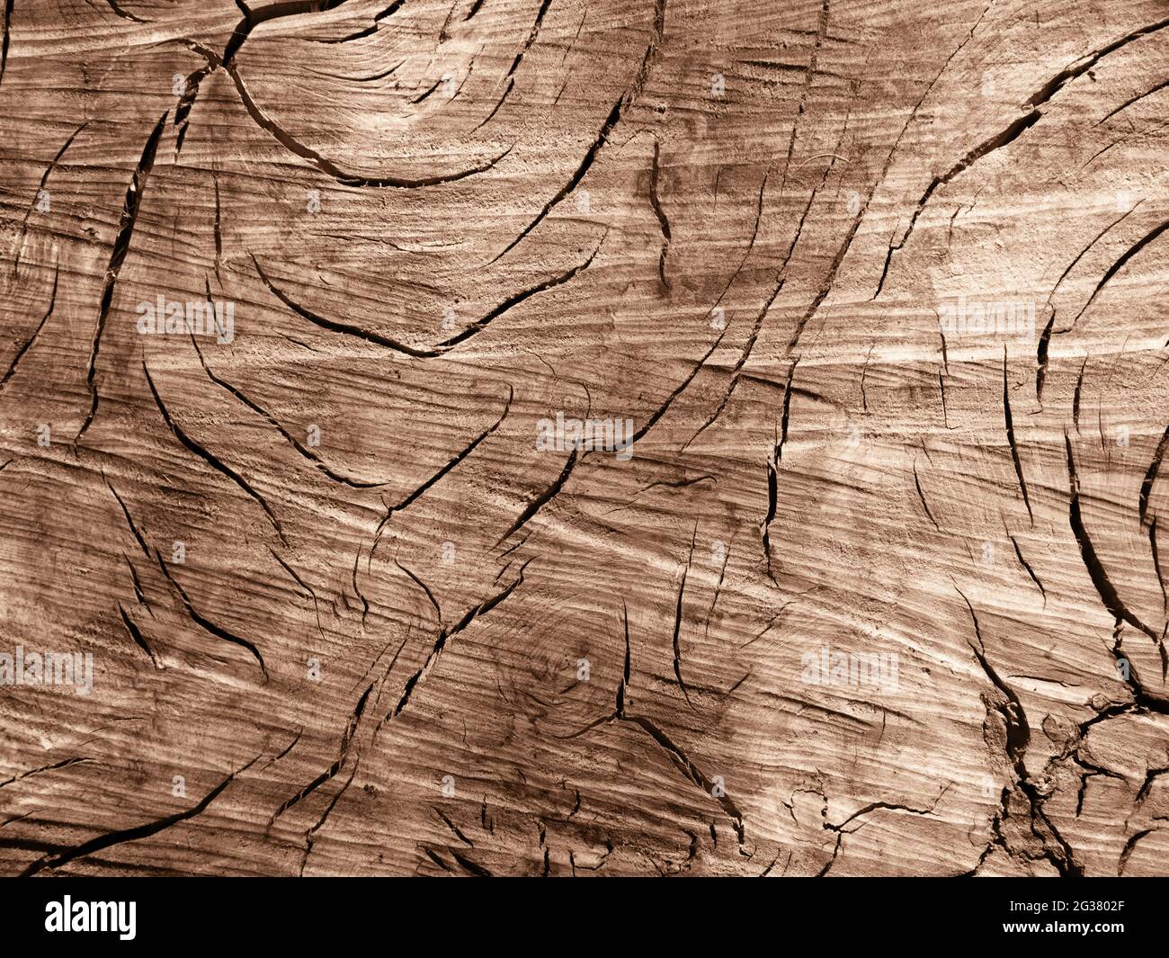 Timber texture hi-res stock photography and images - Alamy