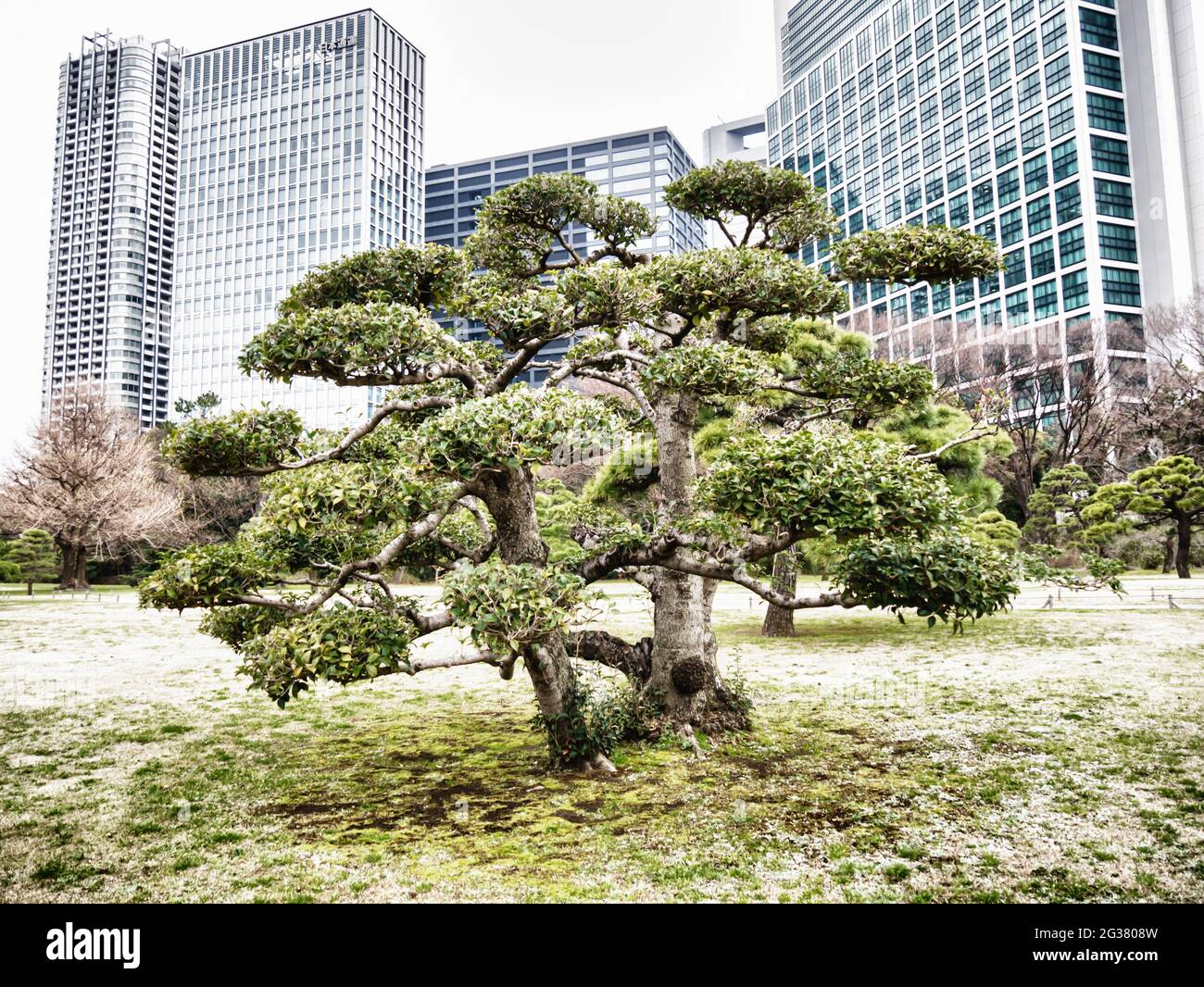 Beautiful view of Hama Rikyu in Tokyo, Japan Stock Photo - Alamy