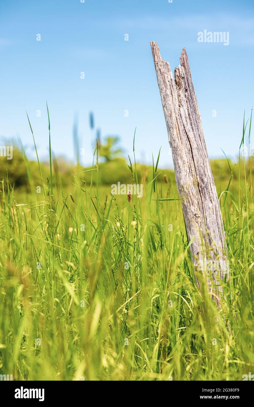 Antique fence post hi-res stock photography and images - Alamy