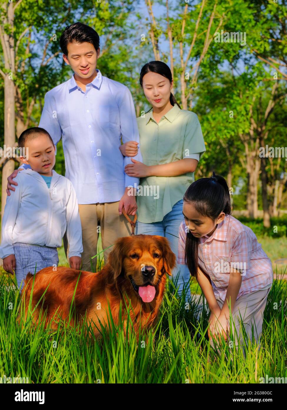 Happy family of four and pet dog playing in the park high quality photo ...