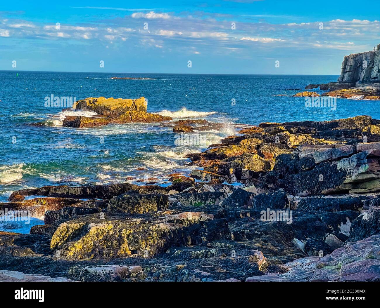The Ocean Path, Acadia National Park, Maine, USA Stock Photo - Alamy