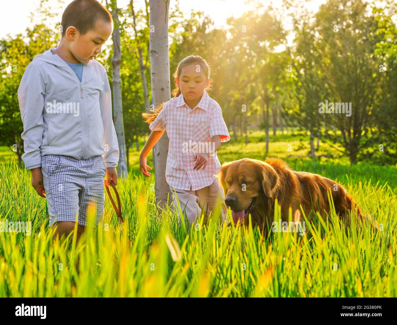Two happy children walking dogs in the park high quality photo Stock ...